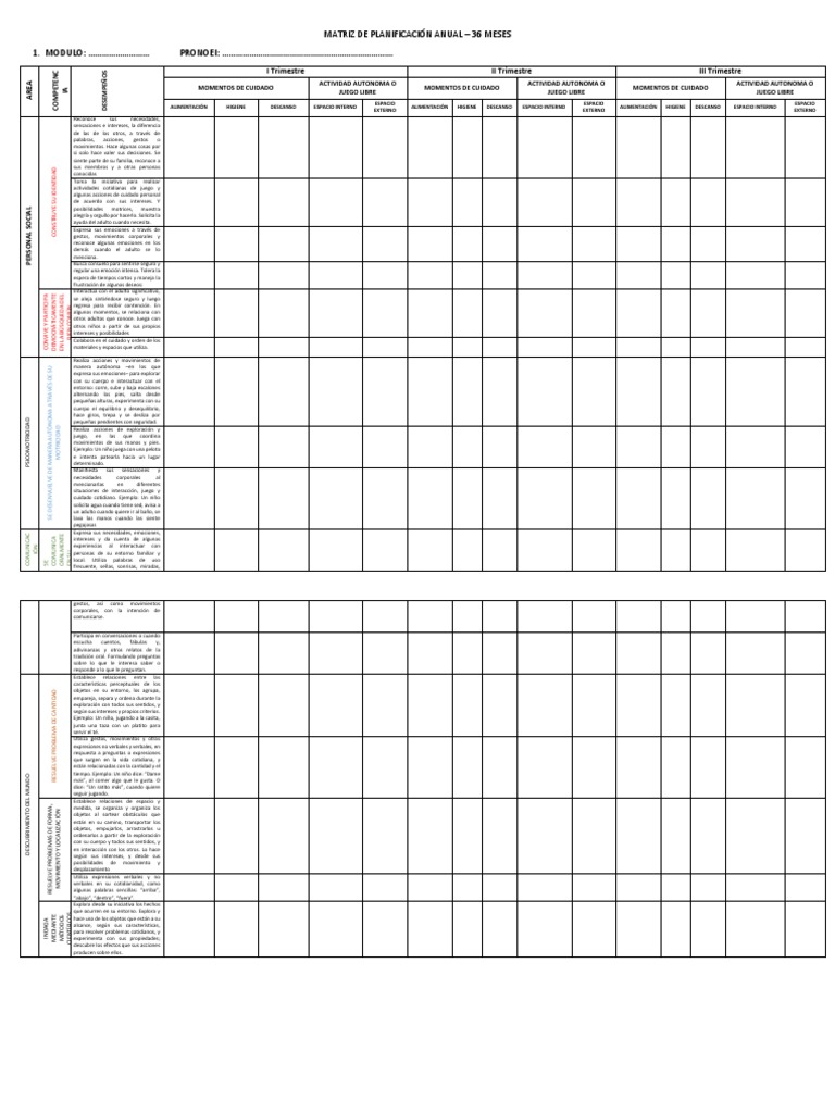 Matriz Planificación Anual 36 Meses I Ciclo | PDF | Sicología | Cognición