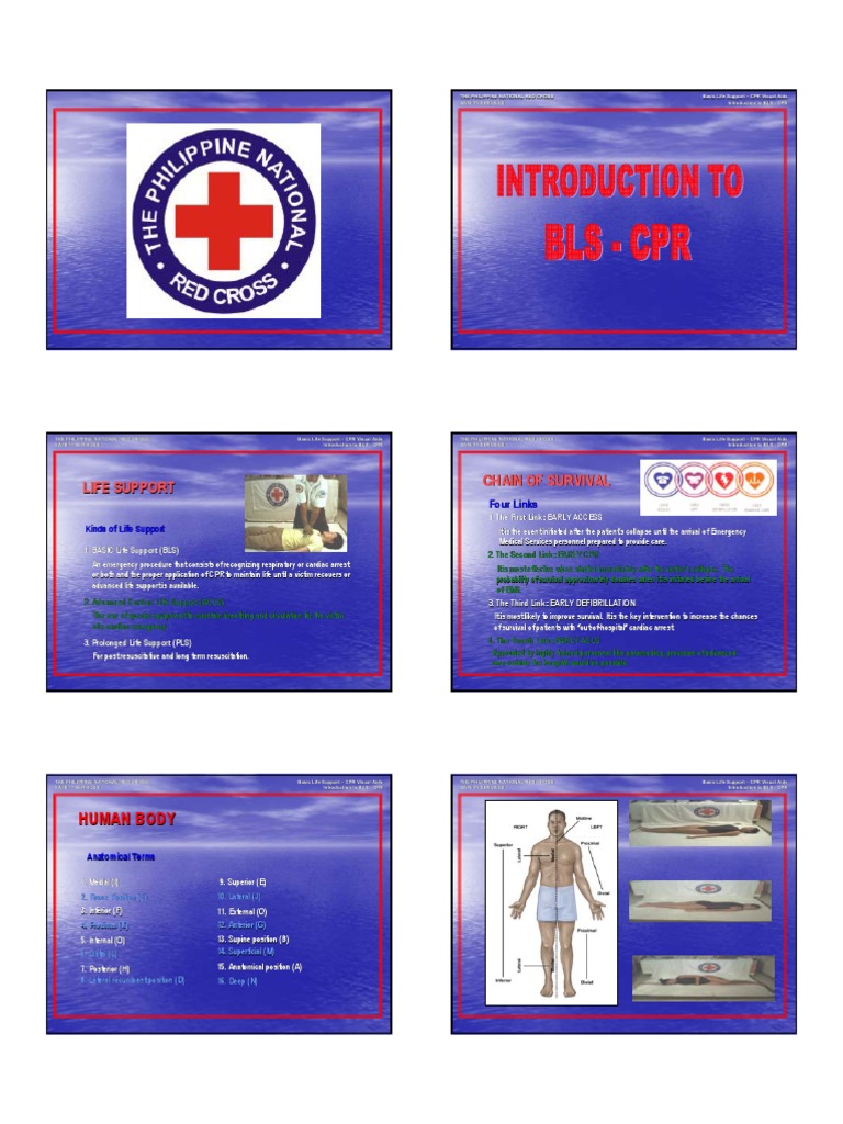 Basic Life Support | PDF | Cardiopulmonary Resuscitation | Traumatology