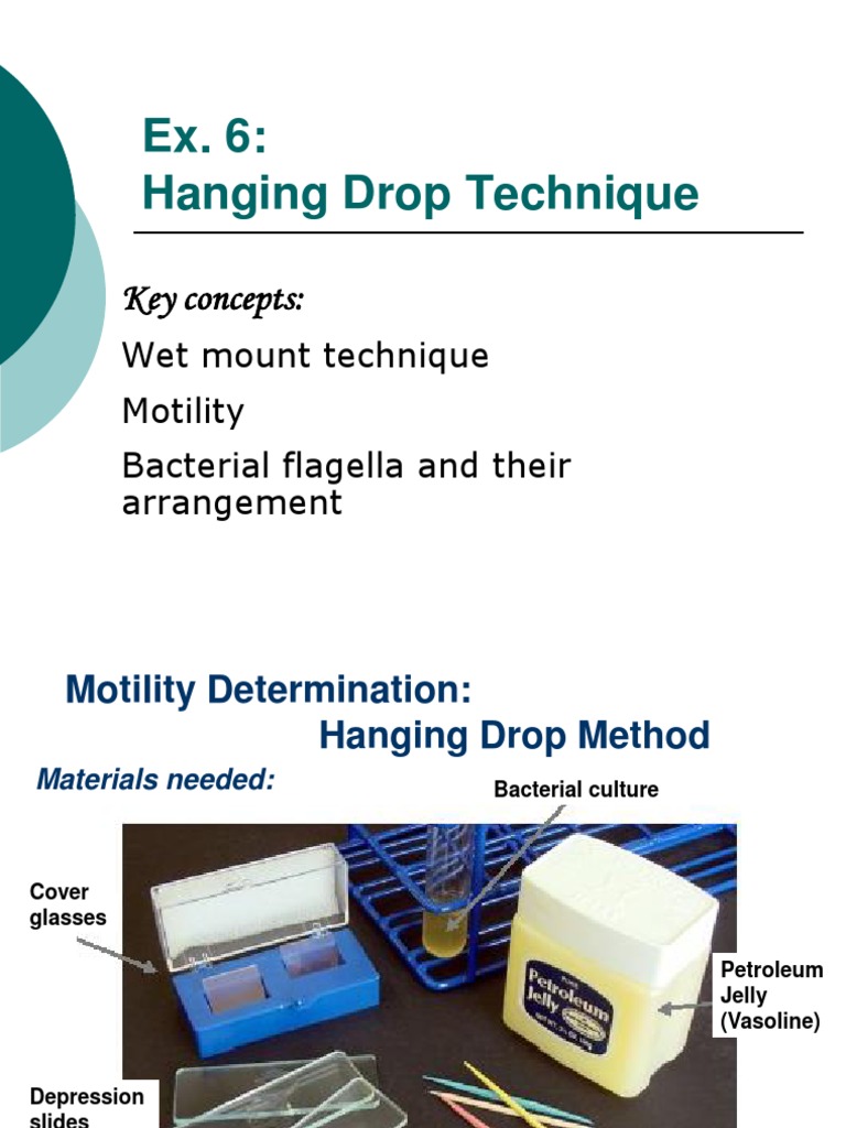 Ex6 - Hanging Drop Technique | PDF | Bacteria | Glasses