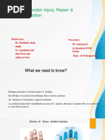 Clinical Protocol For Flexor Tendon Early Mobilization - Modified Duran ...