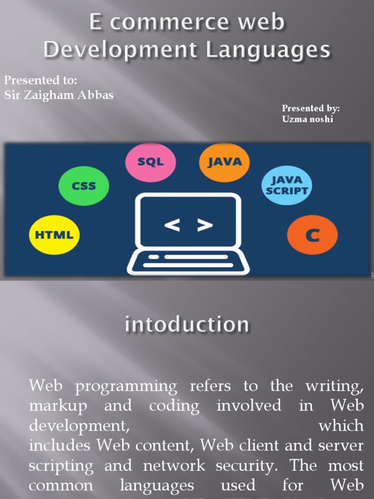 Web Development Programming Language | PDF