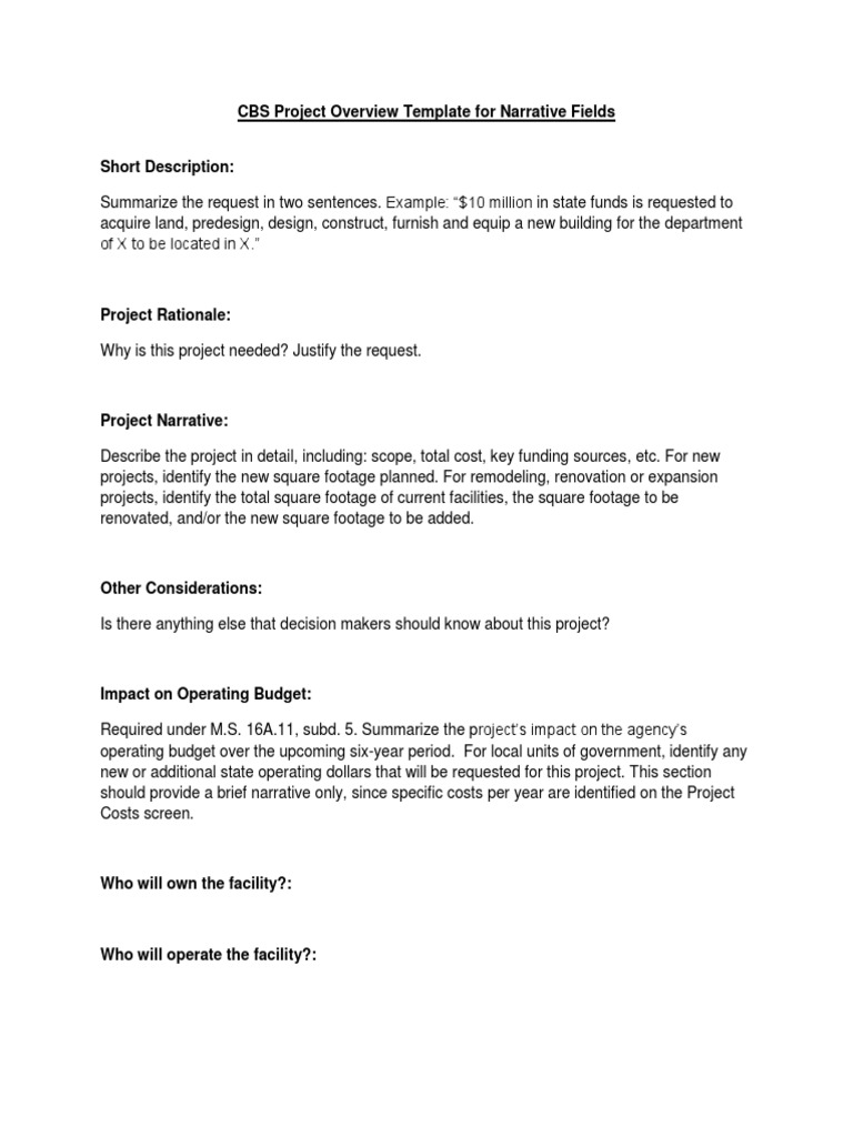 CBS Project Overview Template For Narrative Fields | PDF