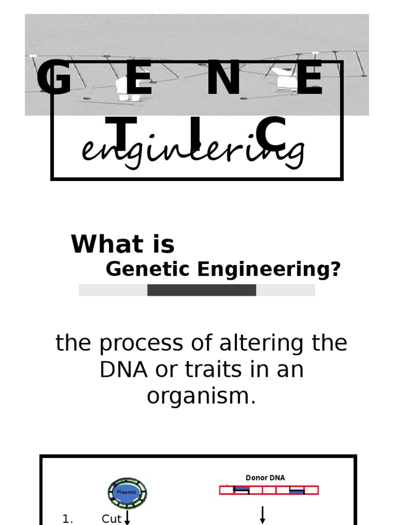G E N E T I C: Engineering | PDF | Genetic Engineering | Genetically ...