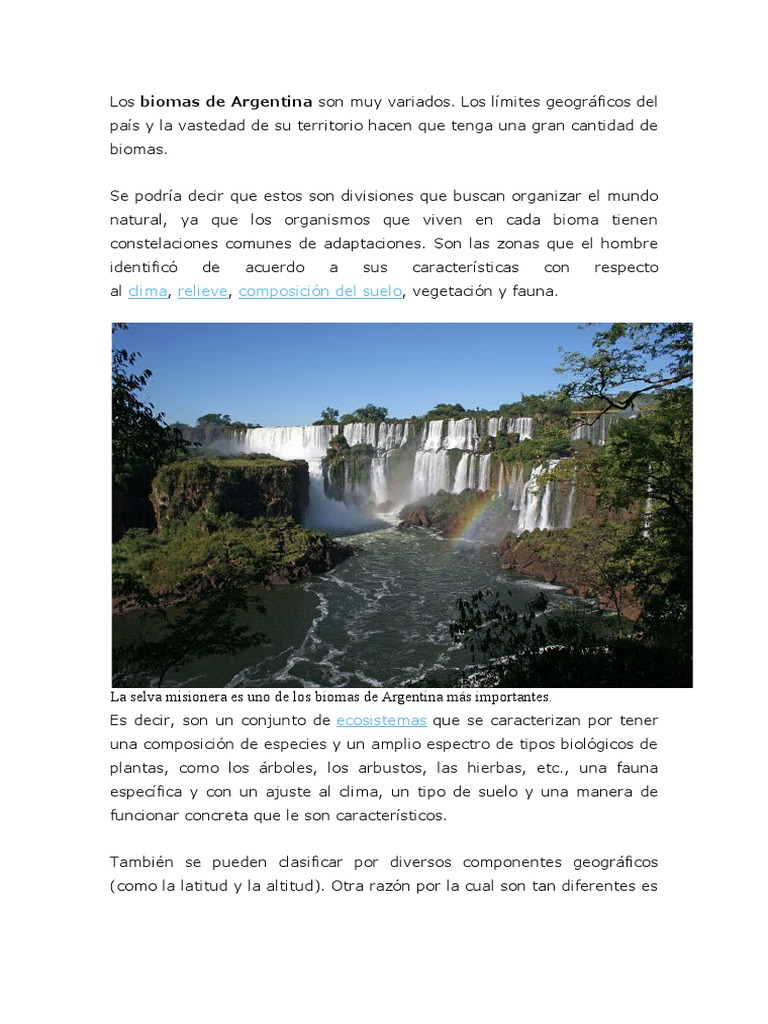 Los Biomas | PDF | Selva | Suelo