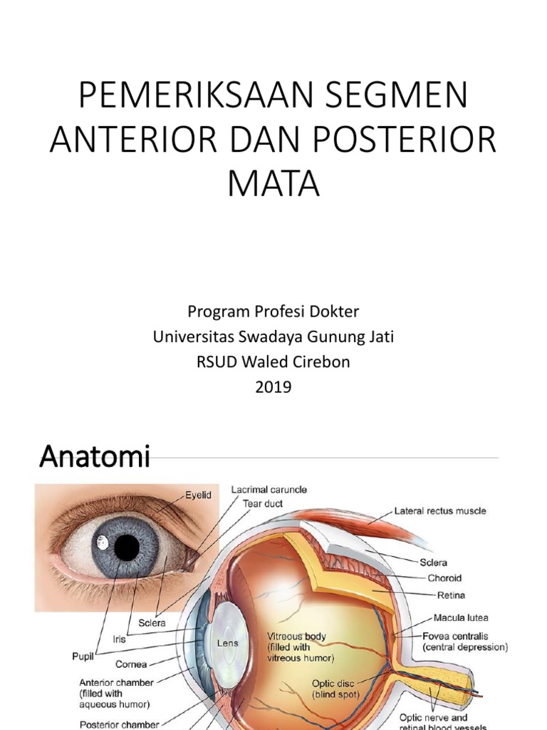Pemeriksaan Segmen Anterior Dan Posterior Mata (Edit) | PDF