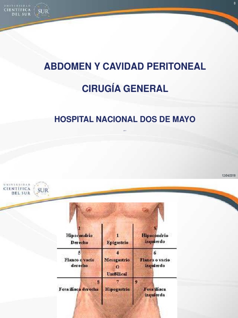 Abdomen y Cavidad Peritoneal 1 | Peritoneo | Abdomen