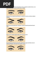 Tipos de Cejas - Trabajo Práctico | PDF | Ceja