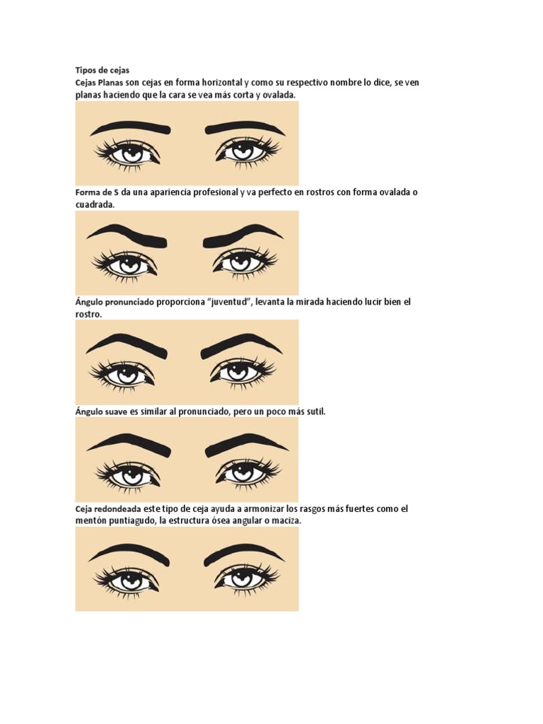 Tipos de Cejas y sus Características | PDF