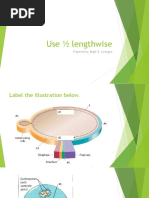 JS Promenade 2020 | PDF | Prom | Social Events