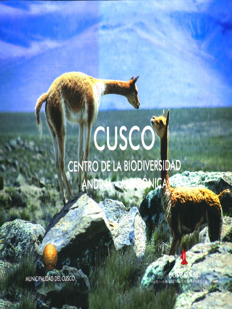 Cusco Centro de La Biodiversidad Andina - Amazónica PDF | PDF