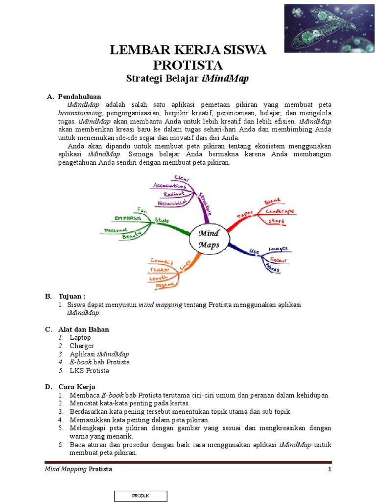 Mind Mapping Protista untuk Siswa | PDF