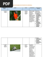 Animales Perjudiciales | PDF