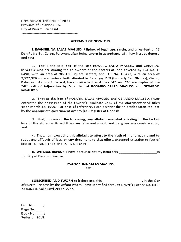 Affidavit of Non Loss | PDF