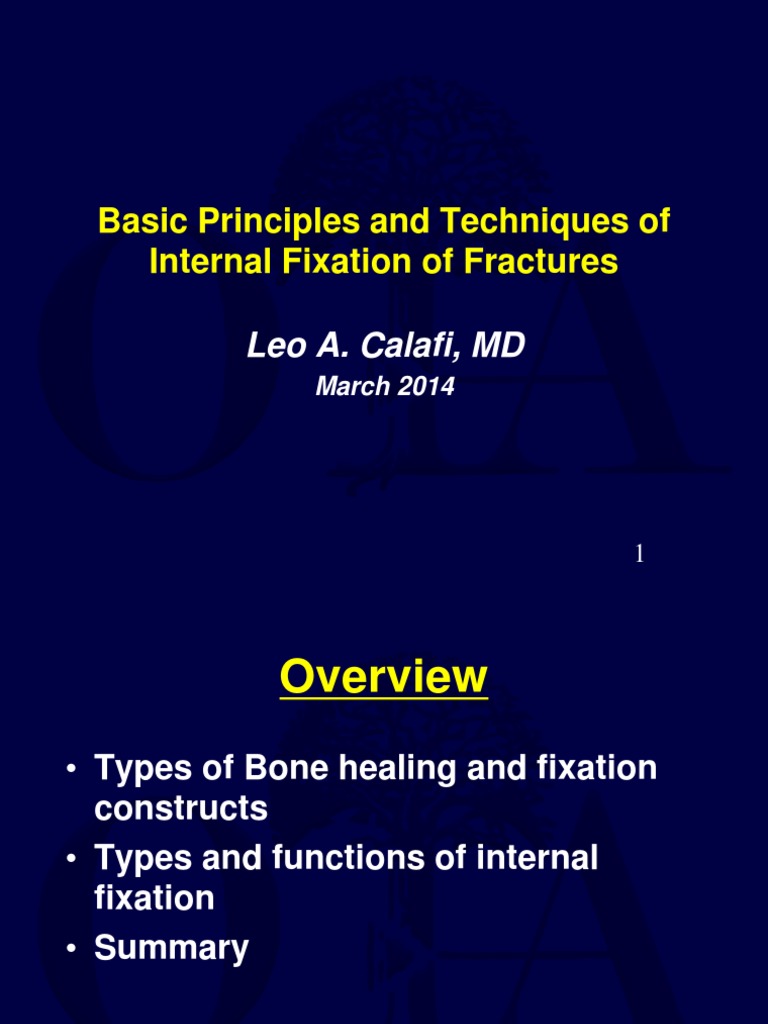 G10-Basic Principles and Techniques of Internal Fixation of Fractures ...
