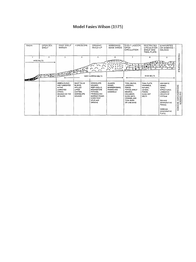Model Fasies Wilson (1975) | PDF