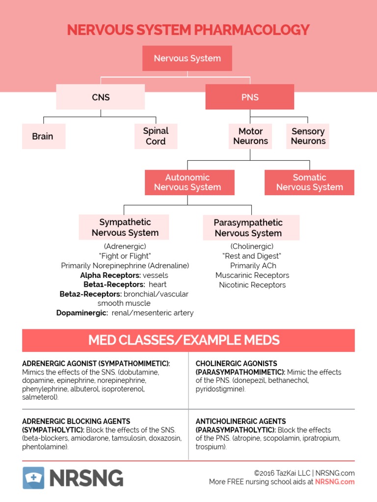 Nervous System Pharmacology: Med Classes/Example Meds | PDF