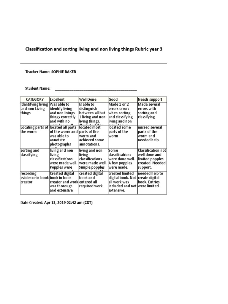 Rubric Year 3 | PDF | Cognition | Behavior Modification