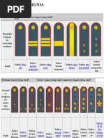 Ranks of PNP BFP BJMP Afp | PDF
