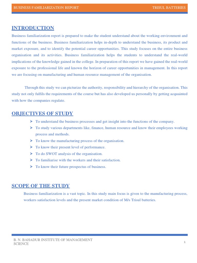 Final Report - BFR | PDF | Lead | Marketing