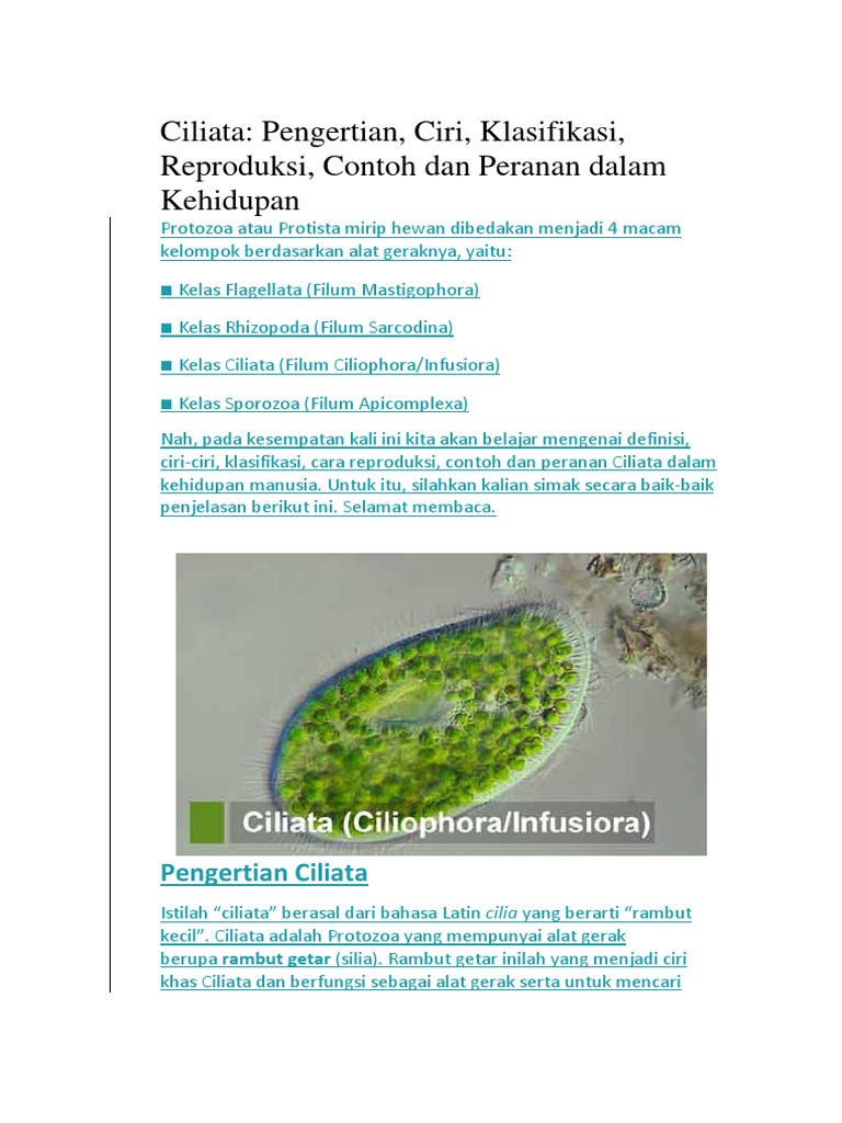 Ciliata: Ciri dan Peran dalam Kehidupan | PDF | Sains & Matematika