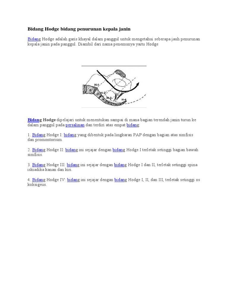 Bidang Hodge Bidang Penurunan Kepala Janin | PDF