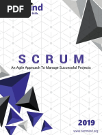 Agile Coach in A Nutshell | PDF | Agile Software Development | Mentorship