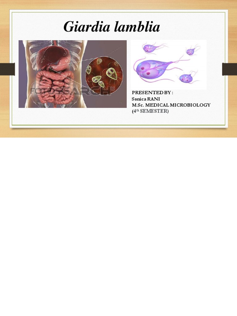 Giardia PPT M.SC Medical 4th Sem | PDF | Immunology | Gastroenterology