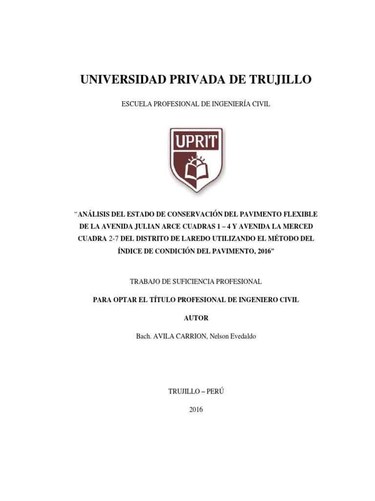 Avila Carrion Nelson Evedaldo PDF | PDF | Diseño | Medición