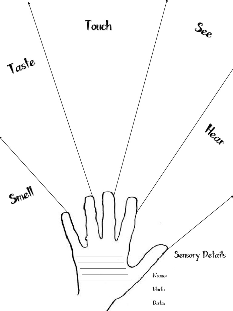 Touch: Sensory Details | PDF