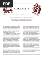 Anatomy and Physiology of Bull Reproductive System | PDF | Testicle ...