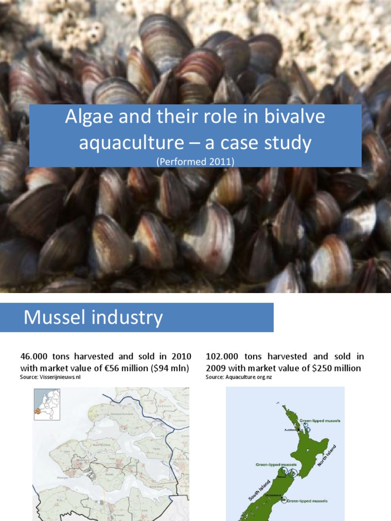 Algae and Their Role in Bivalve Aquaculture - A Case Study: (Performed ...