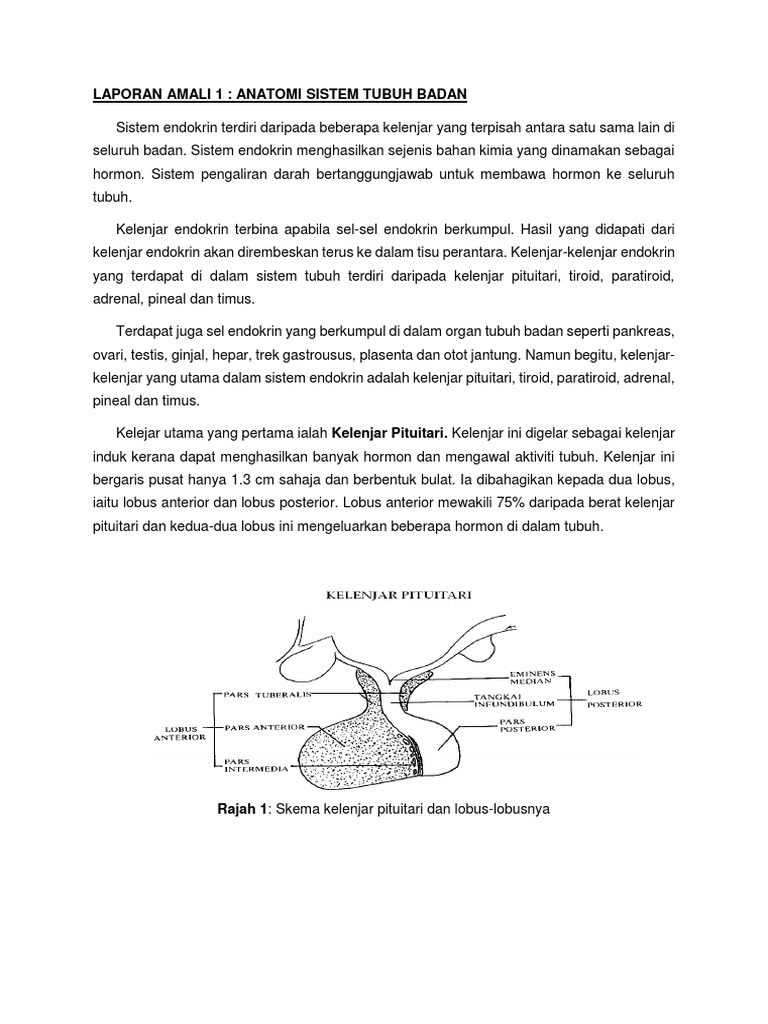 Laporan Amali Anatomi Pdf