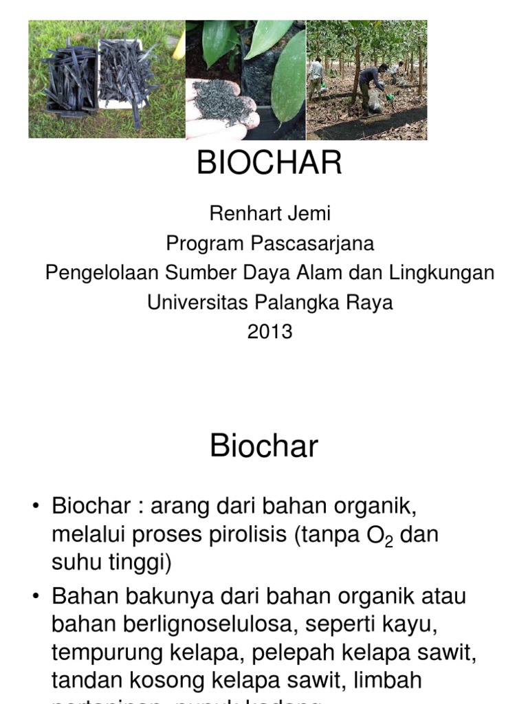 Biochar PDF | PDF