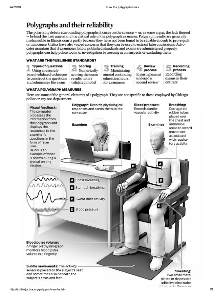 How The Polygraph Works | PDF