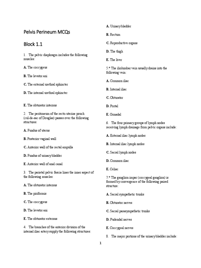 Pelvis Block 1 1 PDF | PDF | Urinary Bladder | Pelvis
