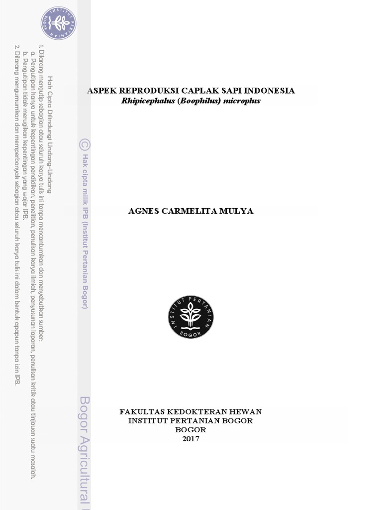 Caplak Pada Sapi | PDF