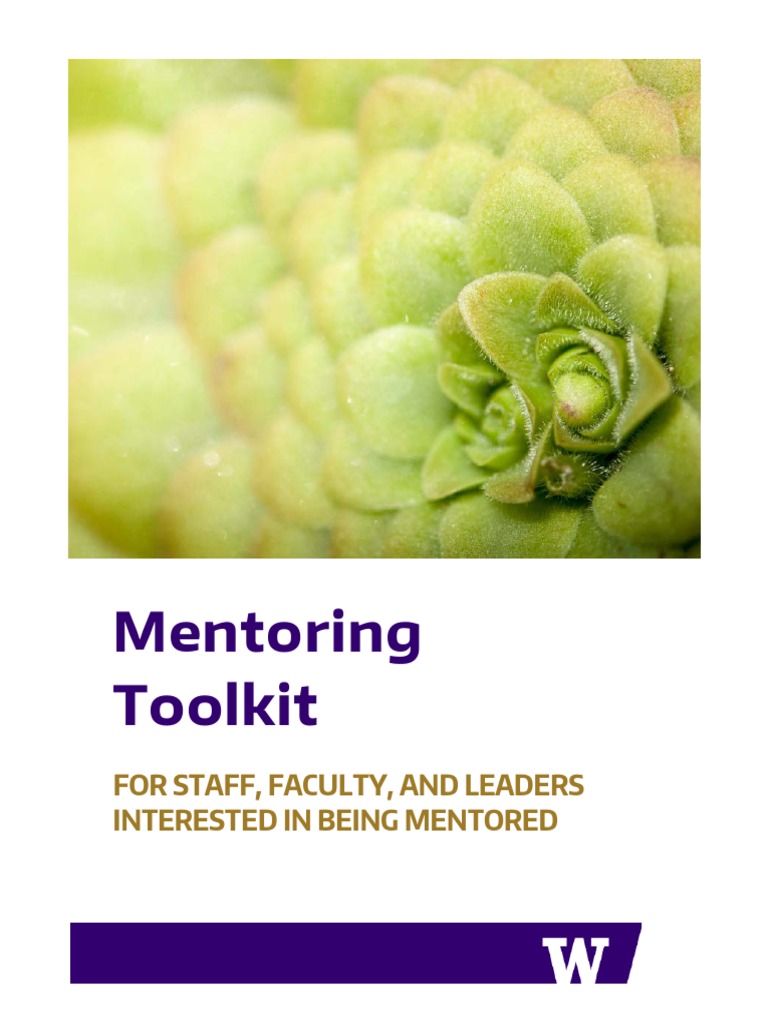 Mentoring Toolkit For Staff And Leaders Pdf Mentorship Thought