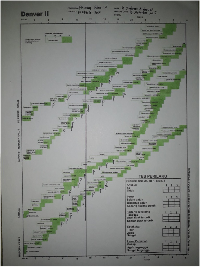 Denver Developmental Screening Test II | PDF | Kesehatan Holistik