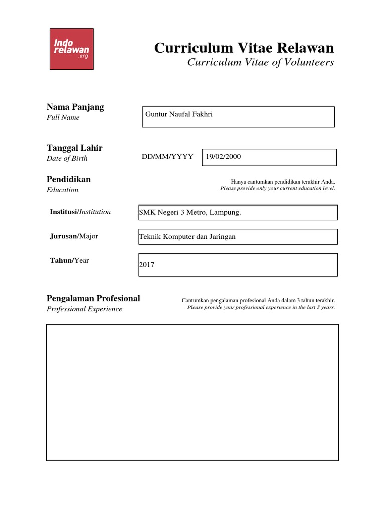 CV Template | PDF