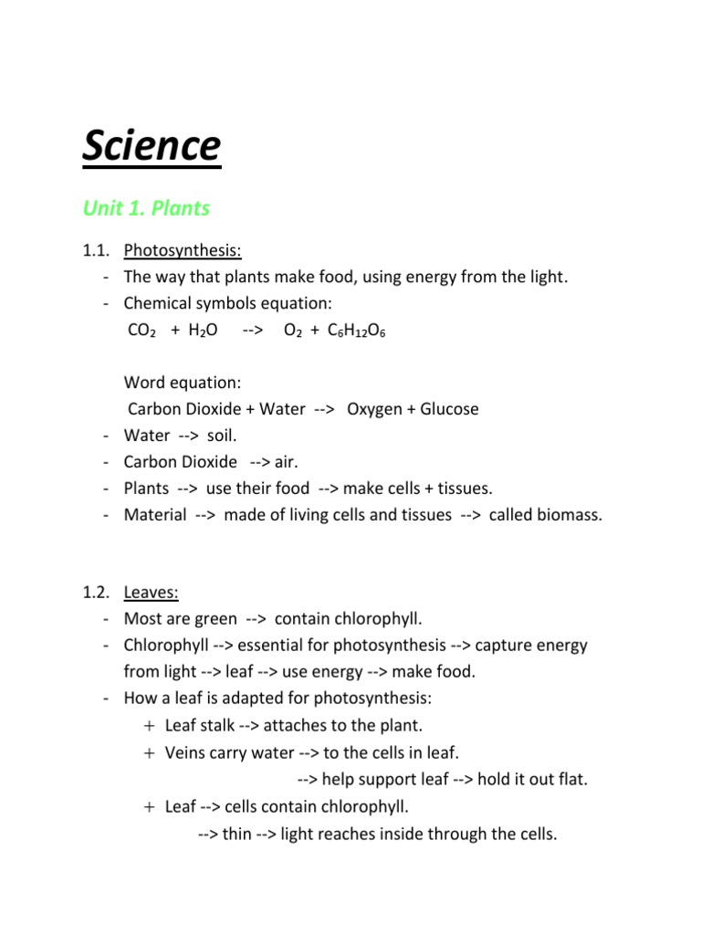 Science: Unit 1. Plants | PDF | Leaf | Digestion