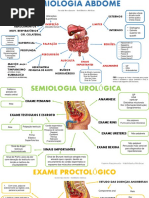 Checklist para Exame Especular Ginecológico | PDF