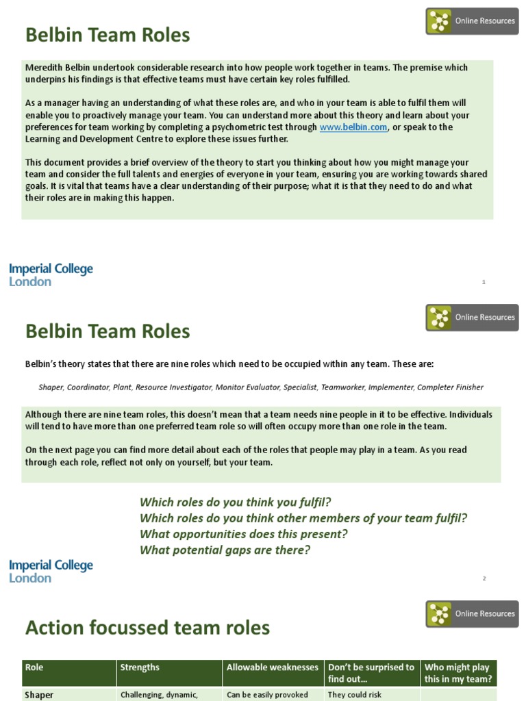 Belbin Team Roles | PDF | Neuroscience | Psychology