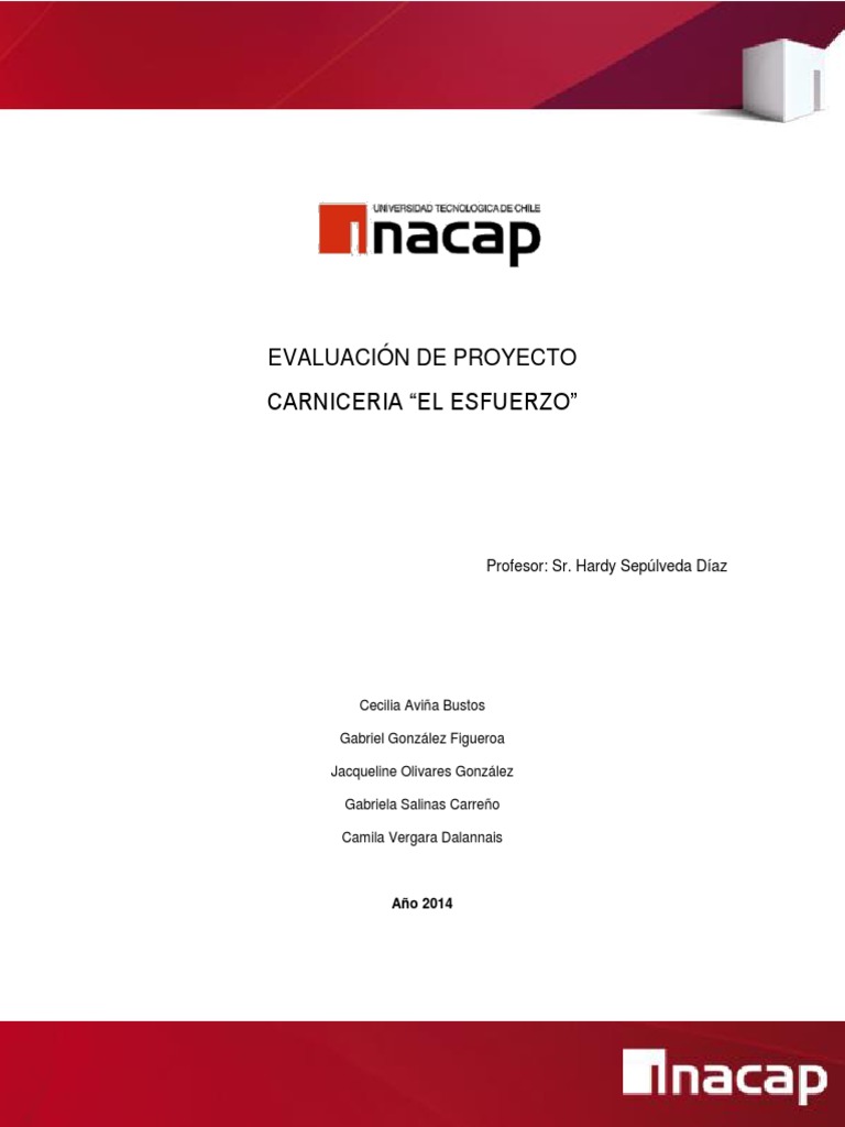 Informe de Evaluaci N de Proyecto | PDF | Carne | Pesticida