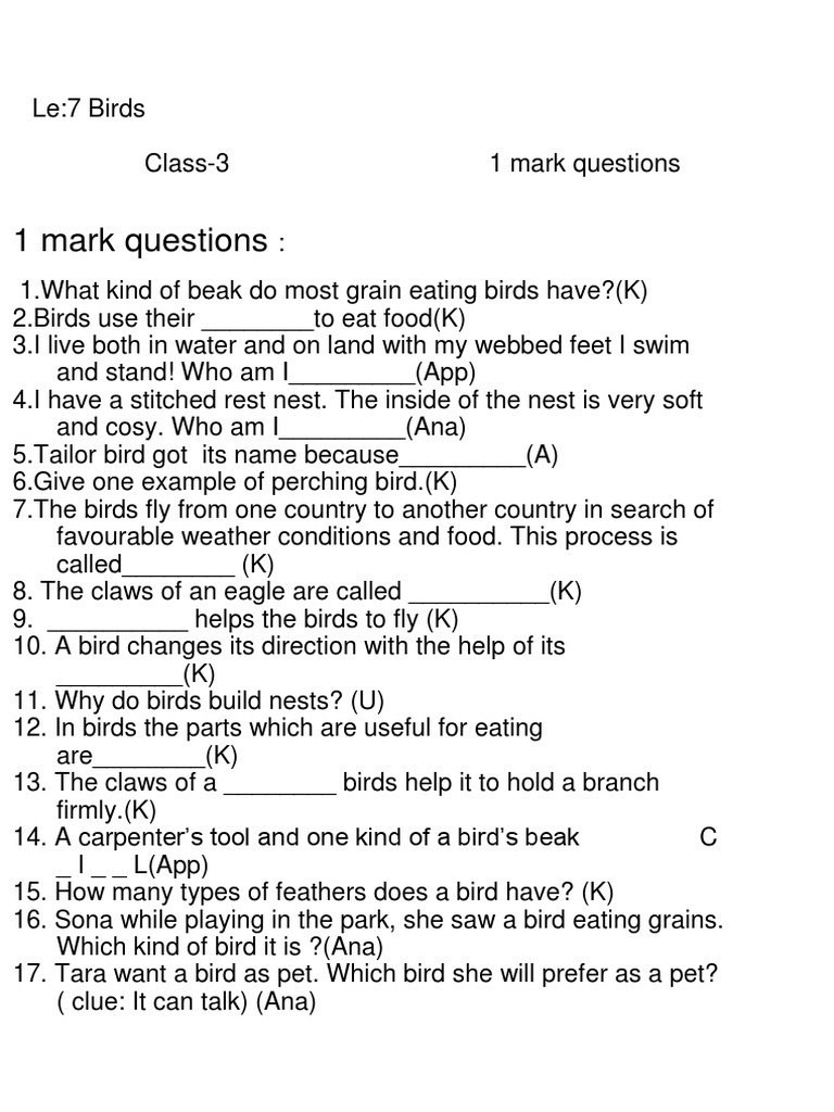 Class 3 Birds | PDF | Beak | Birds