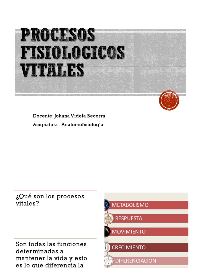 Procesos Vitales Basicos | Descargar gratis PDF | Metabolismo | Biología