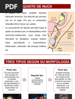 Incisión Rocky Davis | PDF | Medicina CLINICA | Anatomía