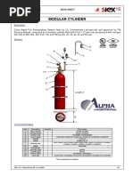 Engineering Data Sheet: Cylinders W. INERGEN | PDF | Nature
