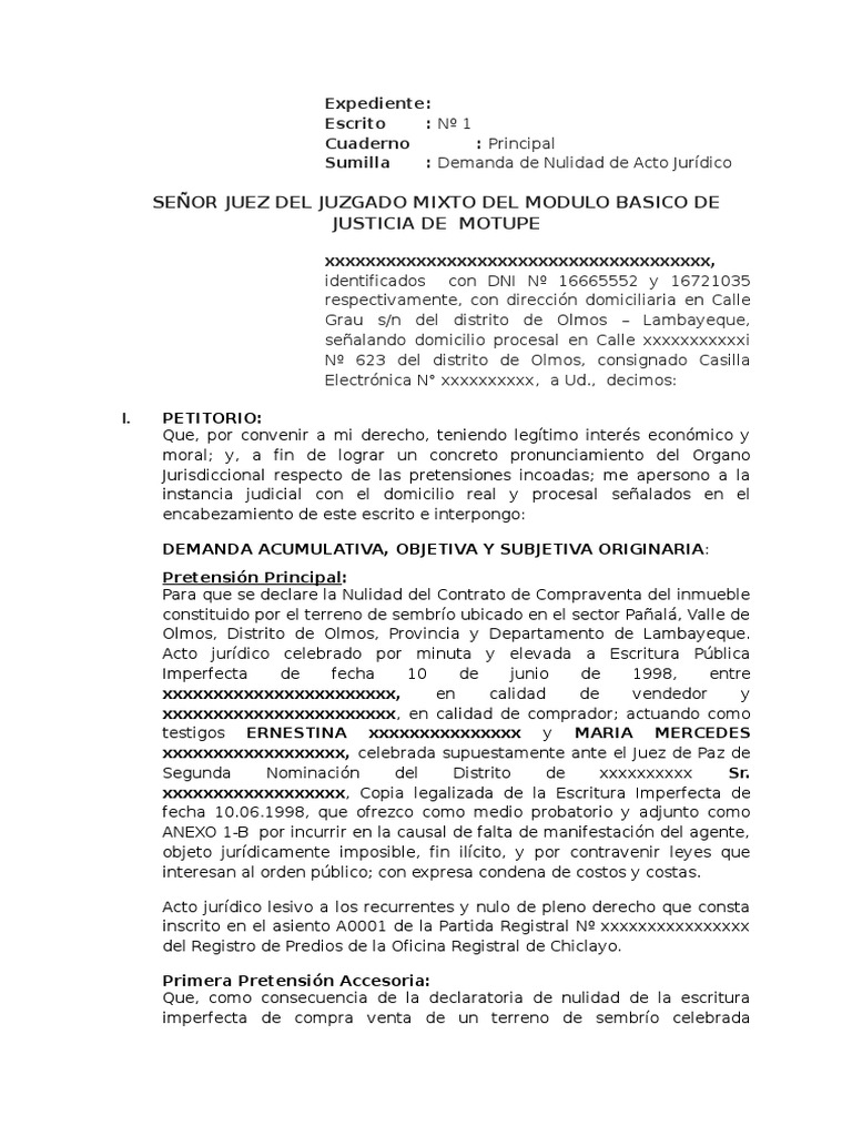 Demanda Nulidad Acto Juridico para Scrib | PDF | Nulo (ley) | Propiedad