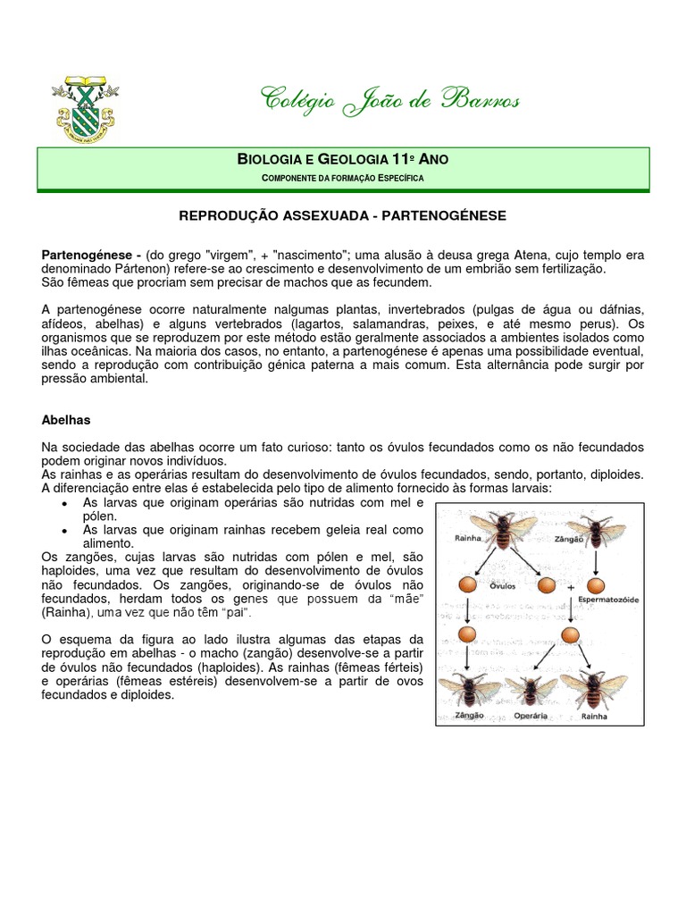Reprodução Assexuada Por Partenogénese | PDF | Dragão de Komodo ...