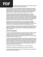 Actividad Integradora 1 - Modulo 9 - Prepa en Línea Sep | PDF ...